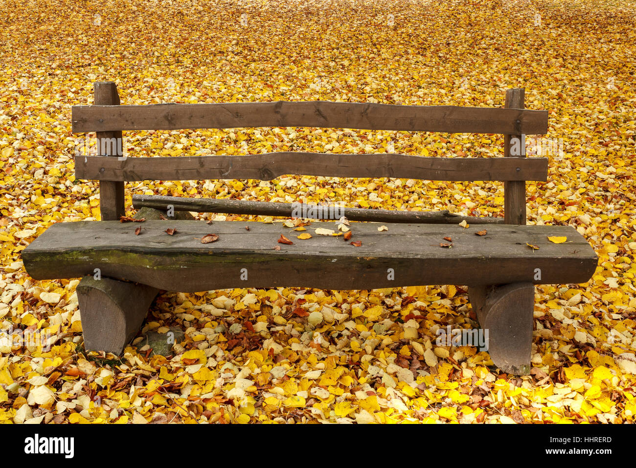 park, maple, landscape, scenery, countryside, nature, fall, autumn ...