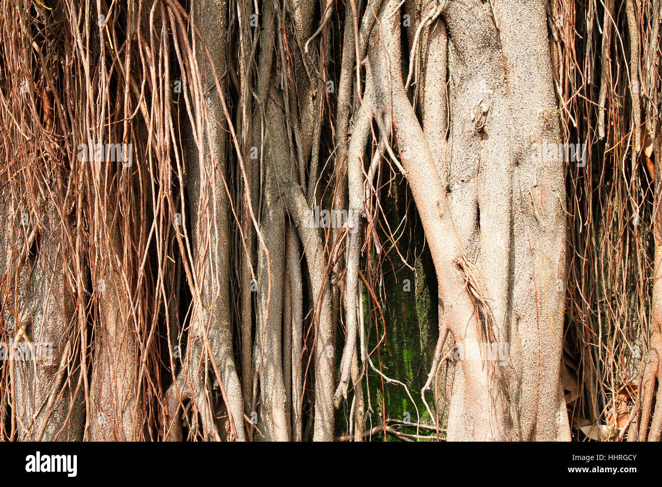 big, large, enormous, extreme, powerful, imposing, immense, relevant ...