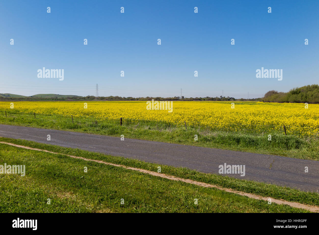 Road side flowers hi-res stock photography and images - Alamy