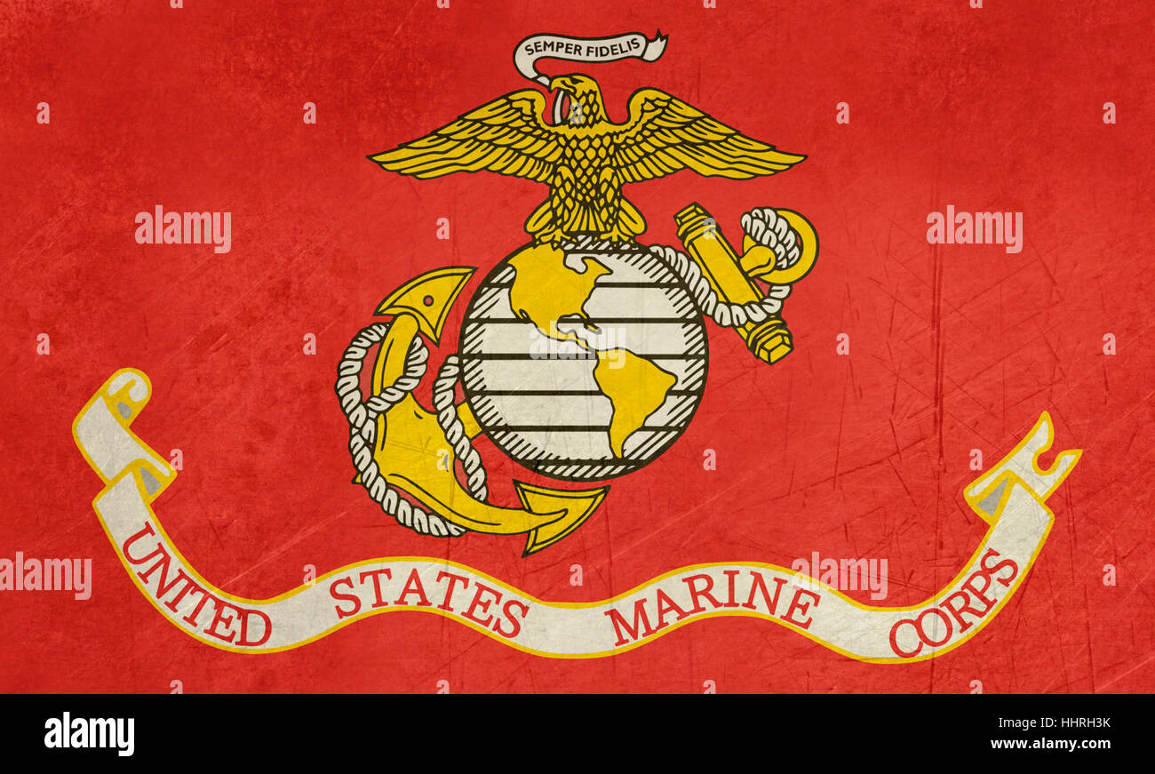 american, emblem, illustration, flag, official, element, banner, motto ...