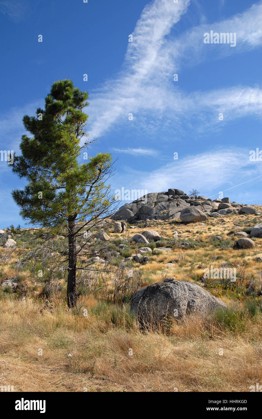 europe, rock, portugal, sight, view, outlook, perspective, vista ...