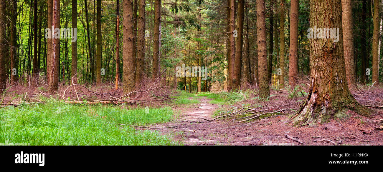 big, large, enormous, extreme, powerful, imposing, immense, relevant ...