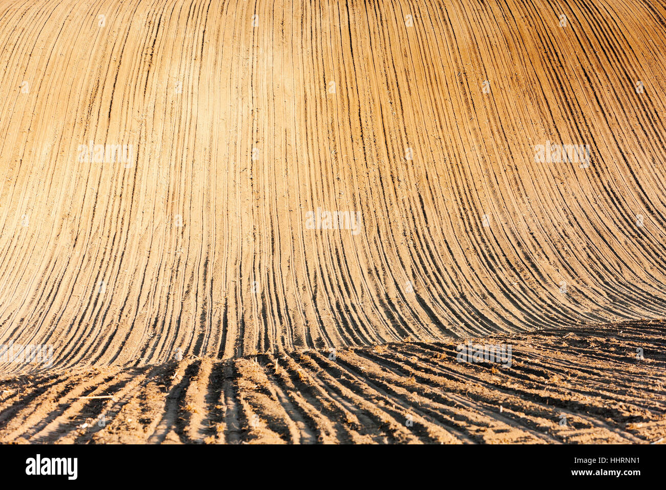 ground, soil, earth, humus, brown, brownish, brunette, agriculture ...