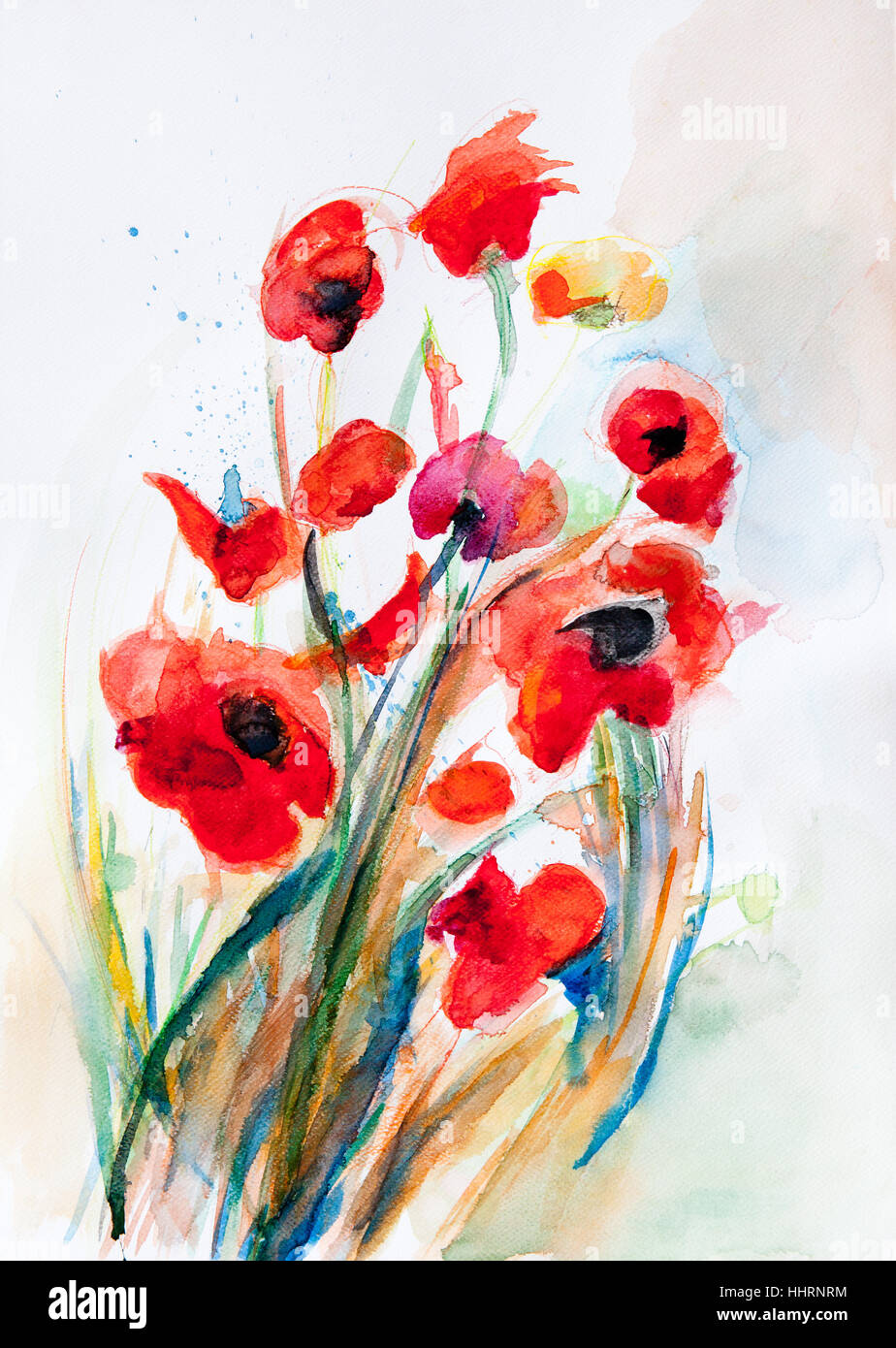 poppy - watercolor Stock Photo - Alamy