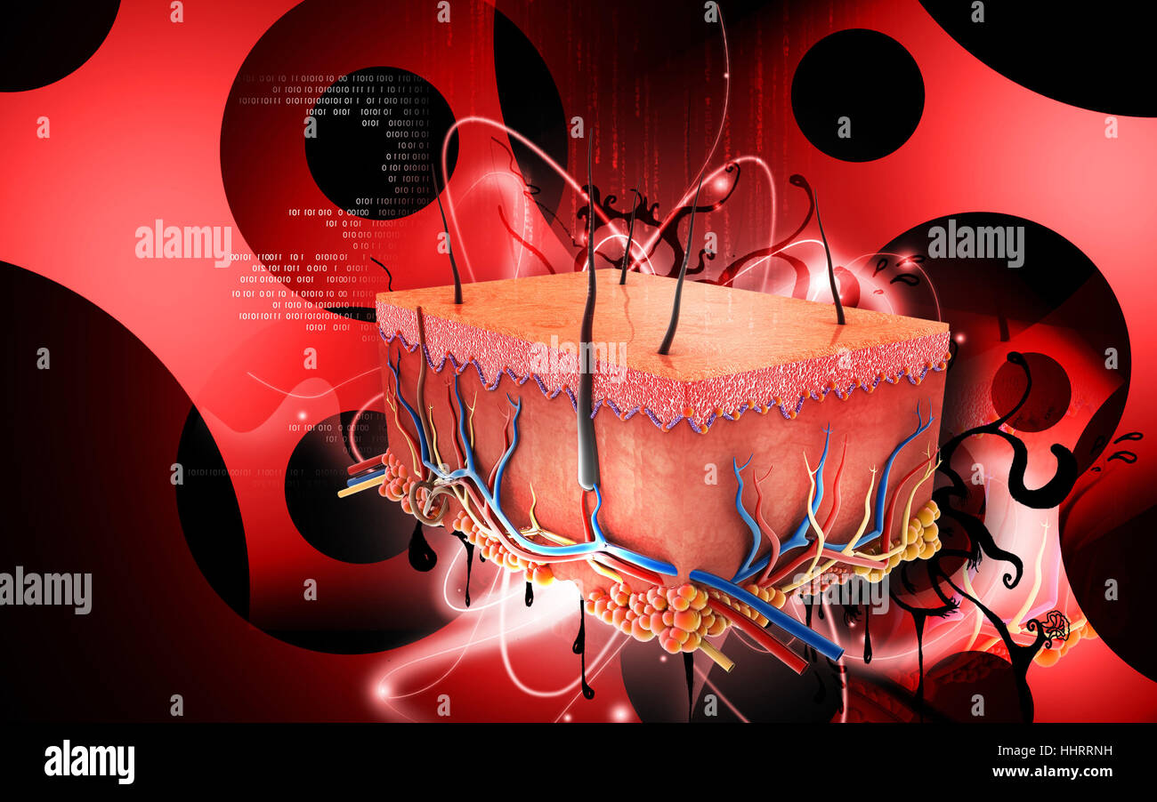 blue, education, medicinally, medical, graphics, colour, science, skin ...