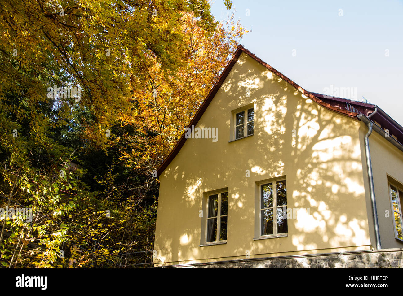 house, home, dwelling house, residential building, building, resin ...