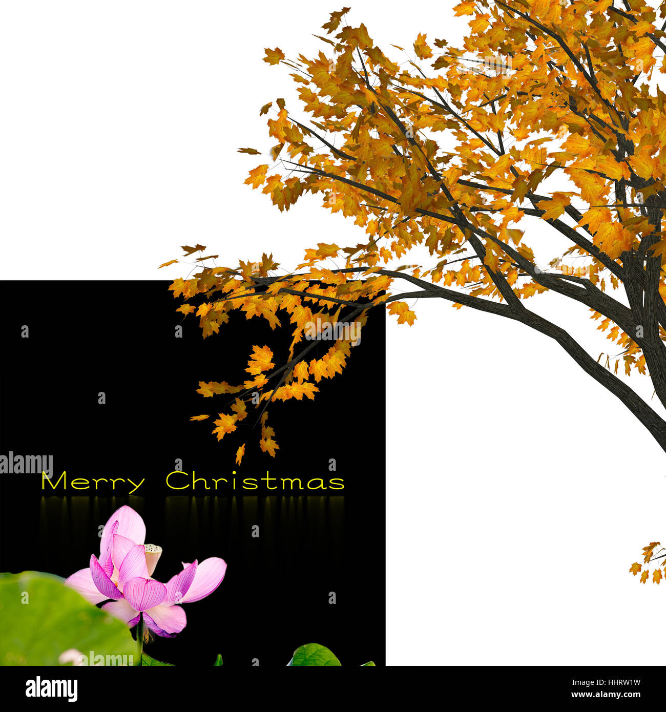 type, present, greeting, model, build, art, design, project, concept ...