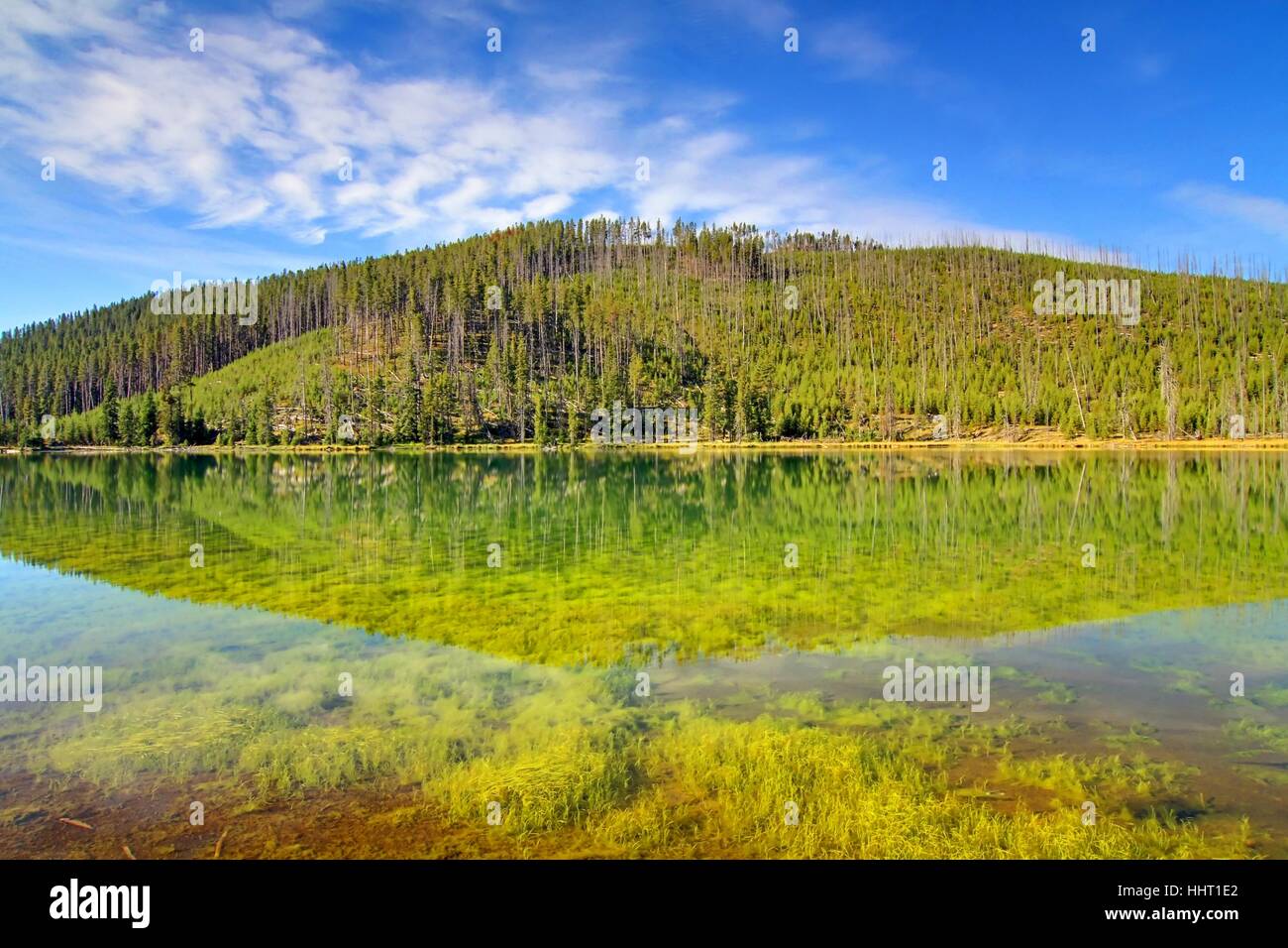 park, fresh water, lake, inland water, water, landscape, scenery ...
