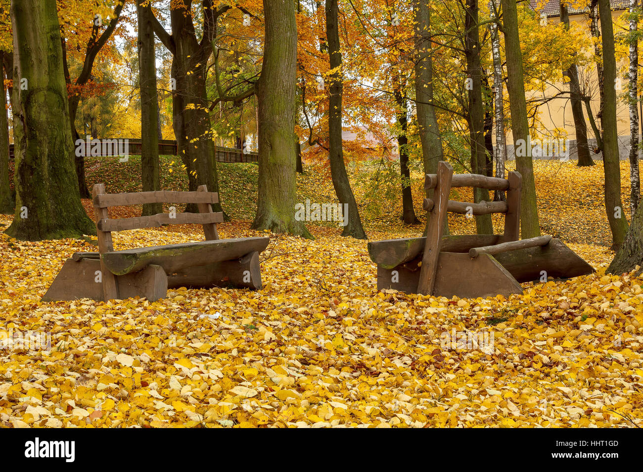 park, outdoor, nature, fall, autumn, walk, go, going, walking ...