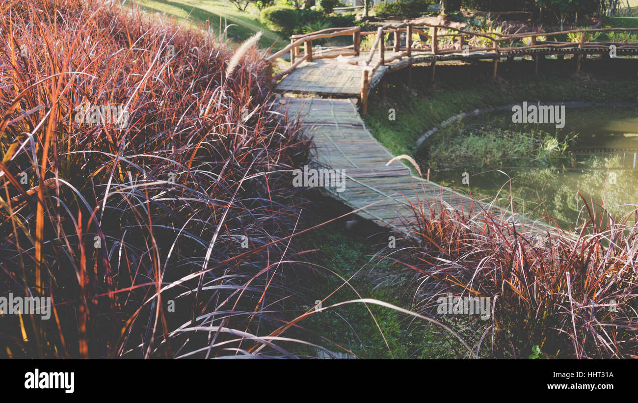 wood walkway path beside pond in park Stock Photo - Alamy