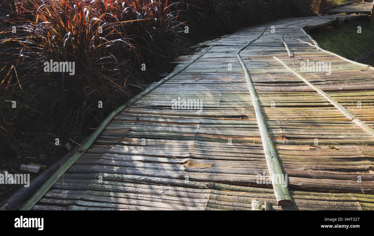 dew drop on bamboo walkway path in park Stock Photo - Alamy