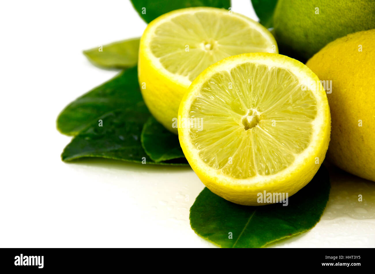 Lemon plantation hi-res stock photography and images - Alamy