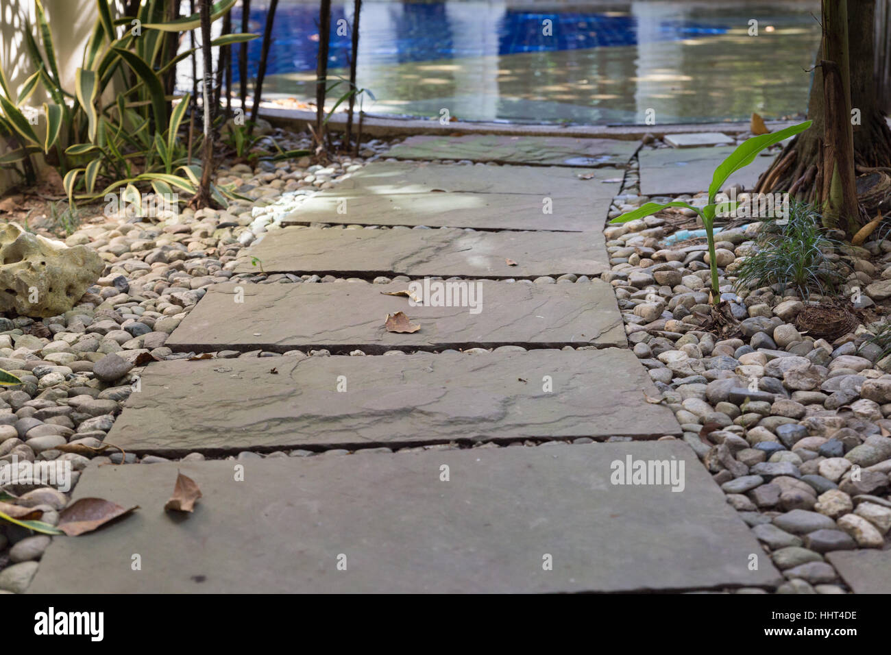 Path walkway pathway sidewalk swimming hi-res stock photography and ...
