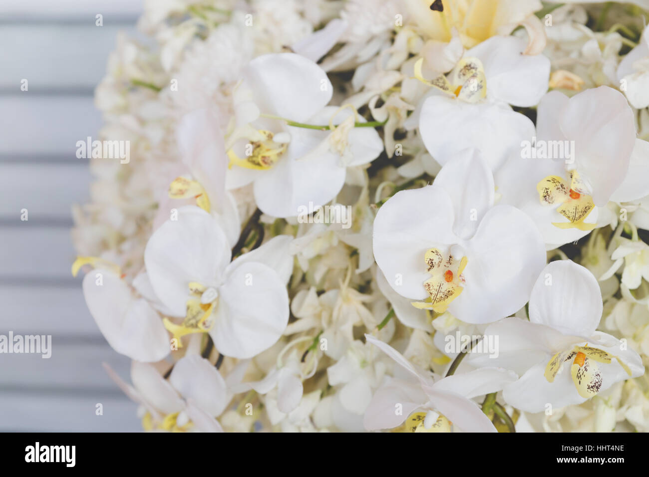 bouquet of blooming white flora flower Stock Photo - Alamy
