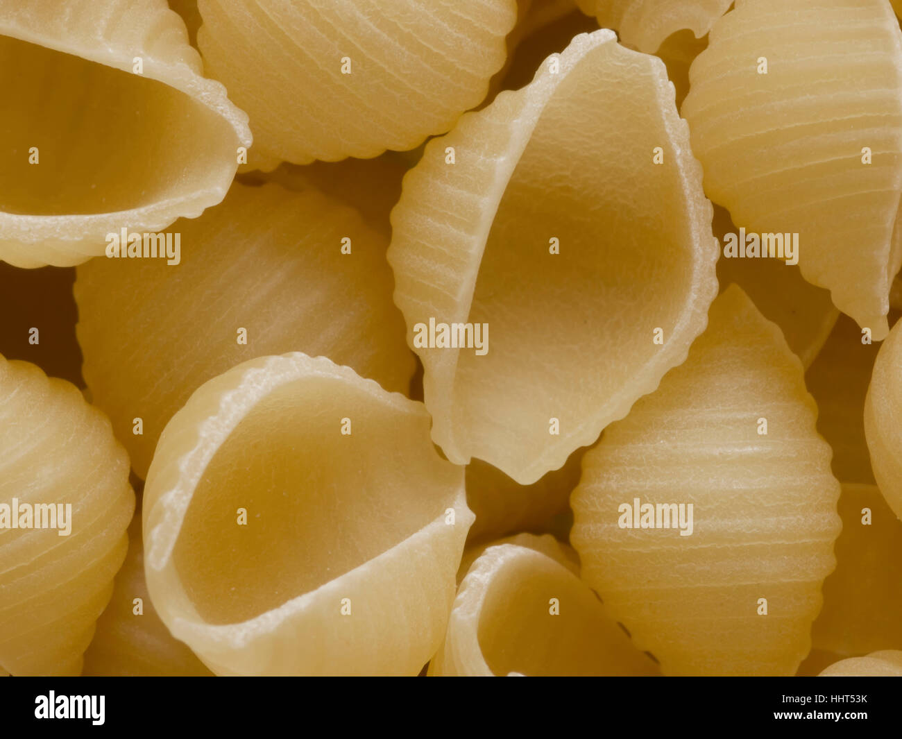 shell, italian, pasta, seashell, starch, carbohydrate, food, aliment ...