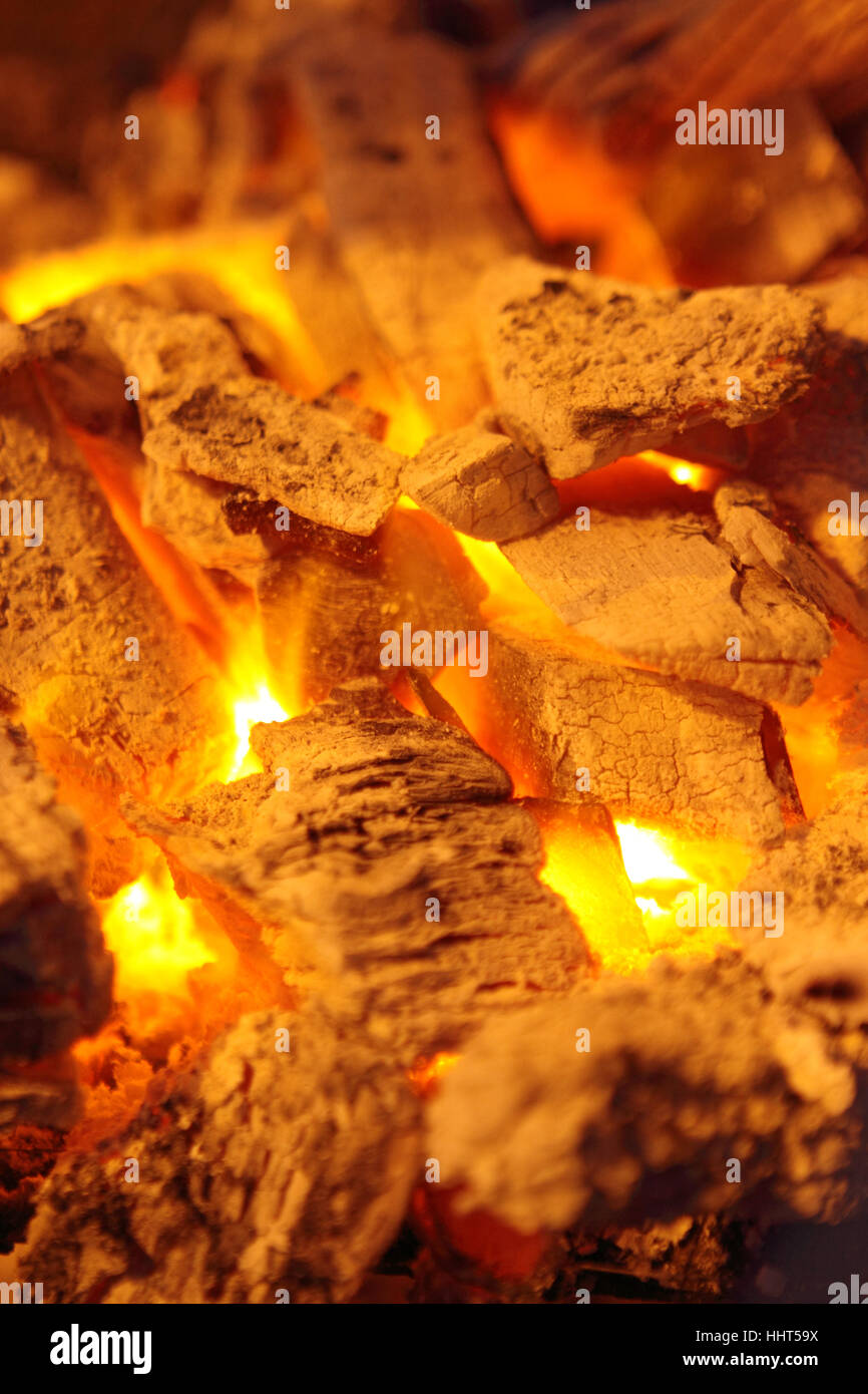 Decaying ash tree hi-res stock photography and images - Alamy