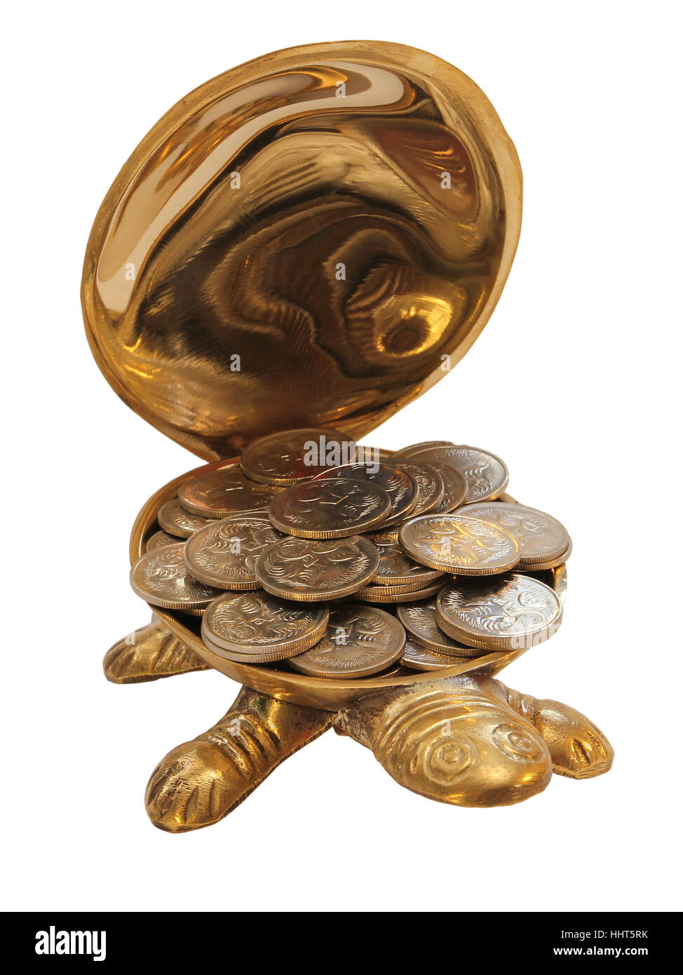 Golden coin tortoise hi-res stock photography and images - Alamy