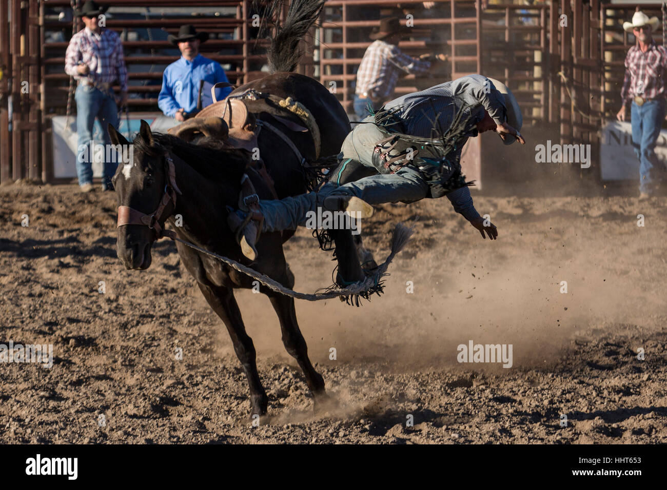 Saddle bronc riding hi-res stock photography and images - Alamy
