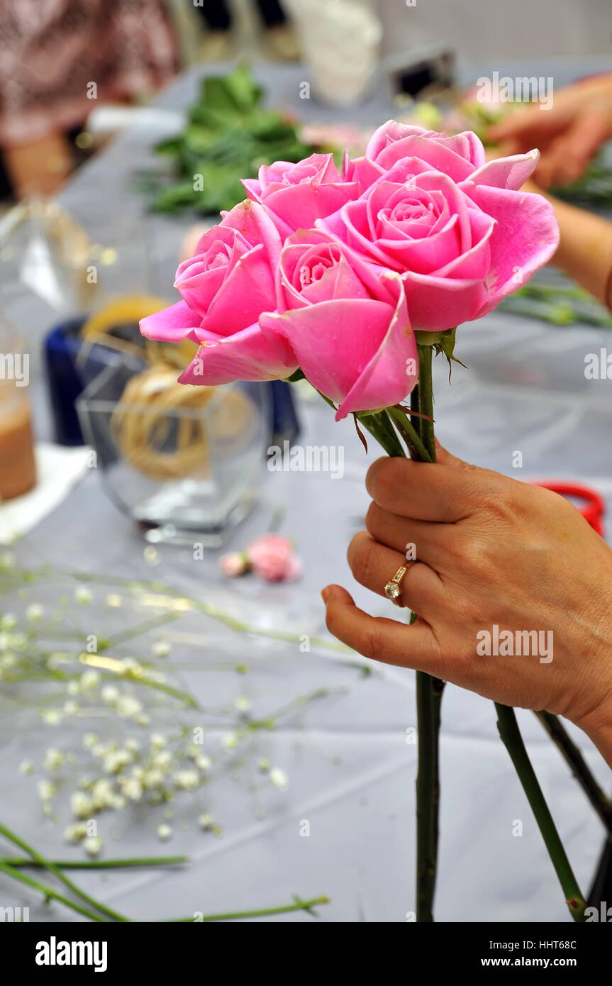 woman, humans, human beings, people, folk, persons, human, human being ...