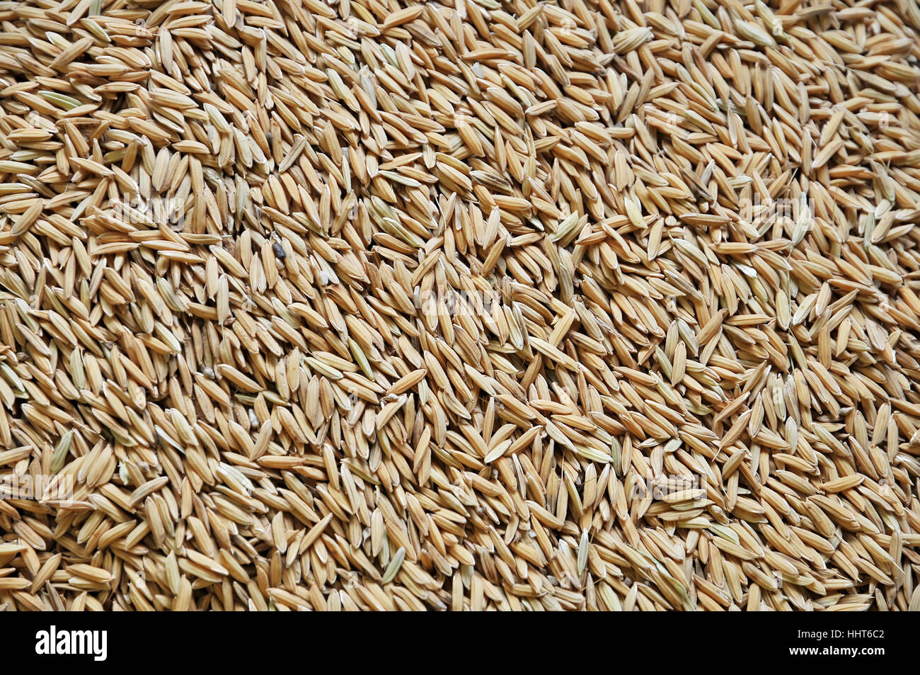 food, aliment, detail, agriculture, farming, field, flora, grain, ripe ...