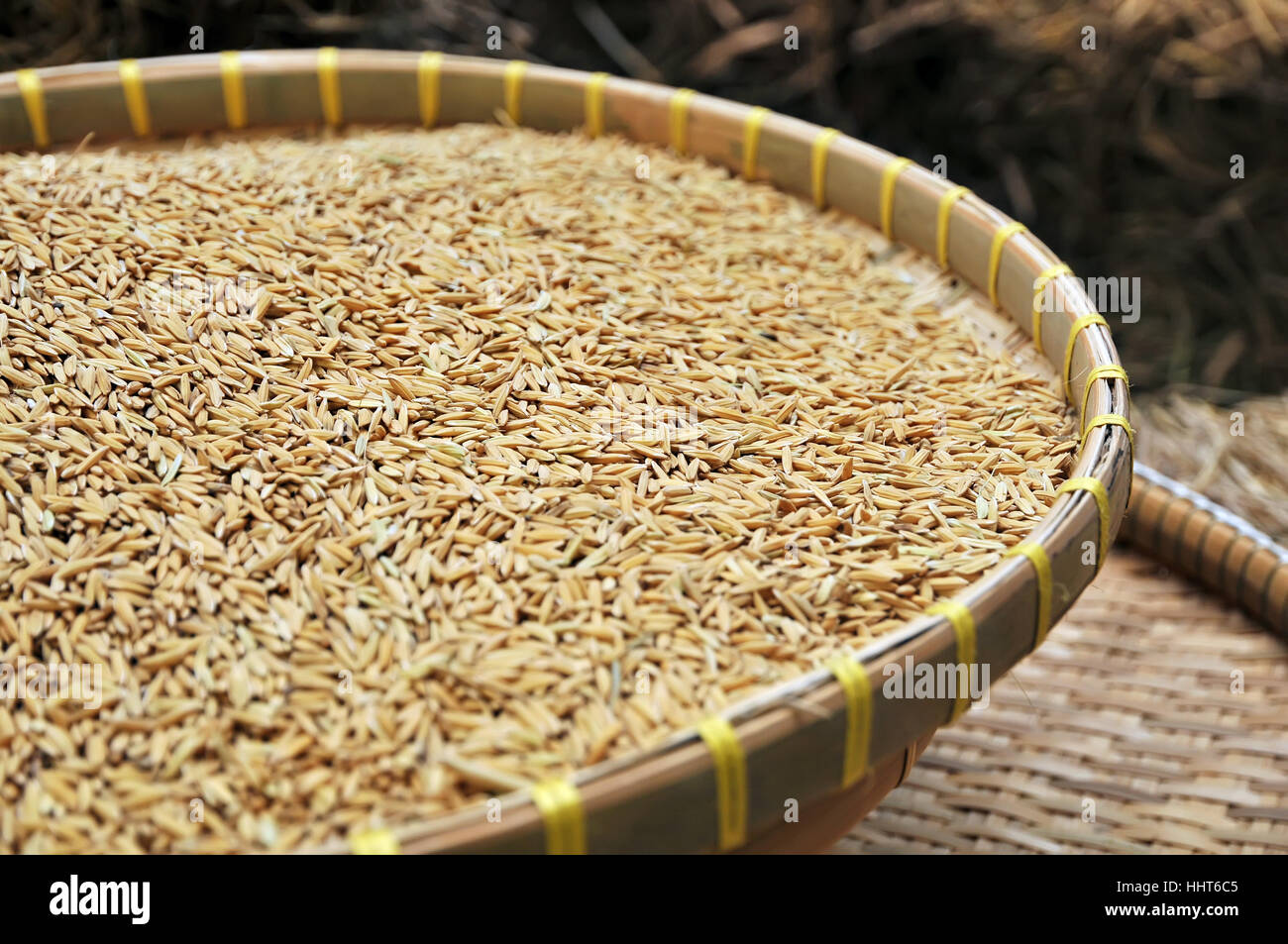 food, aliment, detail, agriculture, farming, field, flora, grain, ripe ...