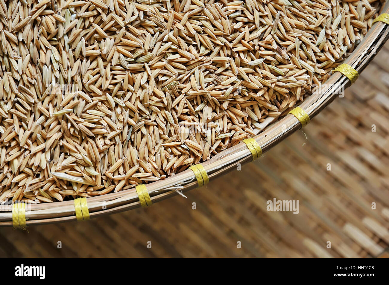 food, aliment, detail, agriculture, farming, field, flora, grain, ripe ...