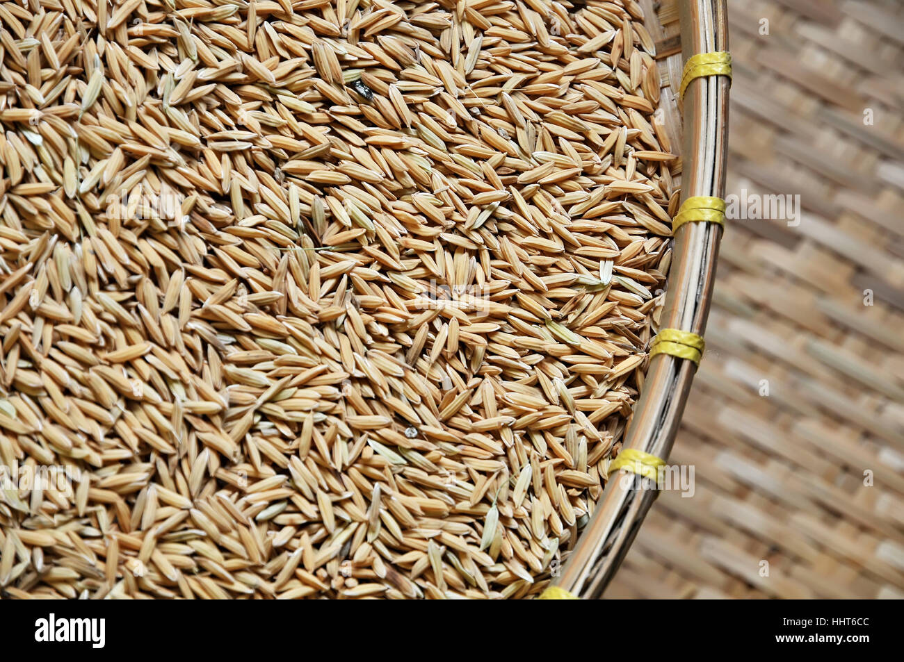 food, aliment, detail, agriculture, farming, field, flora, grain, ripe ...