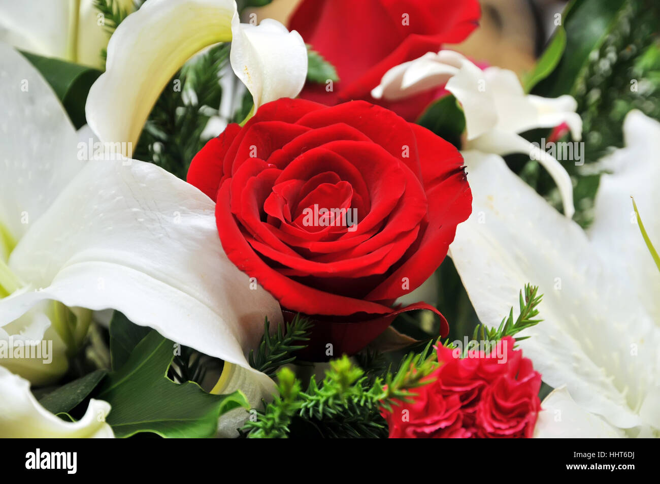 beautiful, beauteously, nice, leaf, colour, model, design, project ...