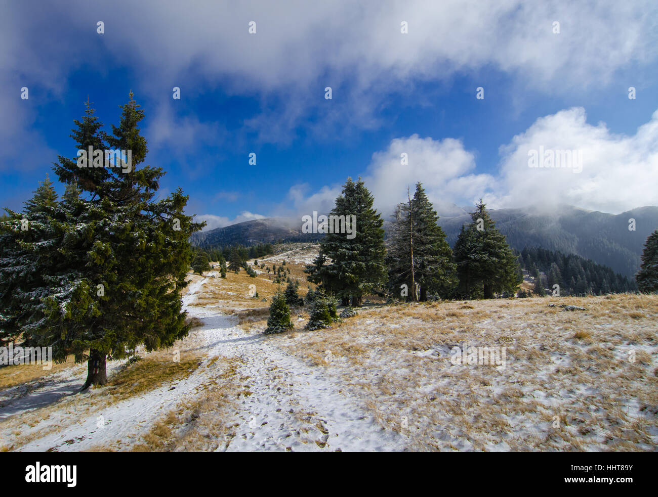 blue, beautiful, beauteously, nice, environment, enviroment, tree, hill ...
