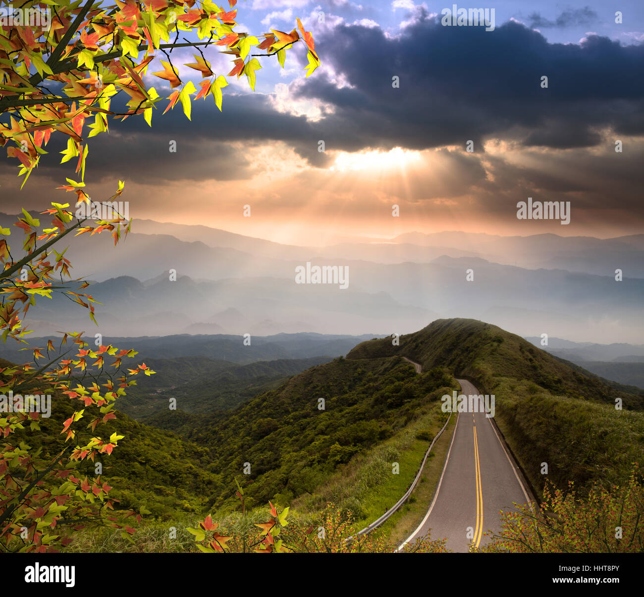 motion, postponement, moving, movement, travel, tree, horizon, desert ...
