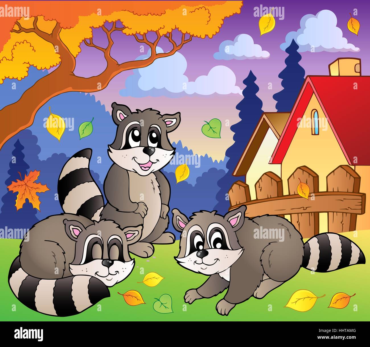 animal, animals, raccoon, coon, season, seasonal, fall, autumn, laugh ...