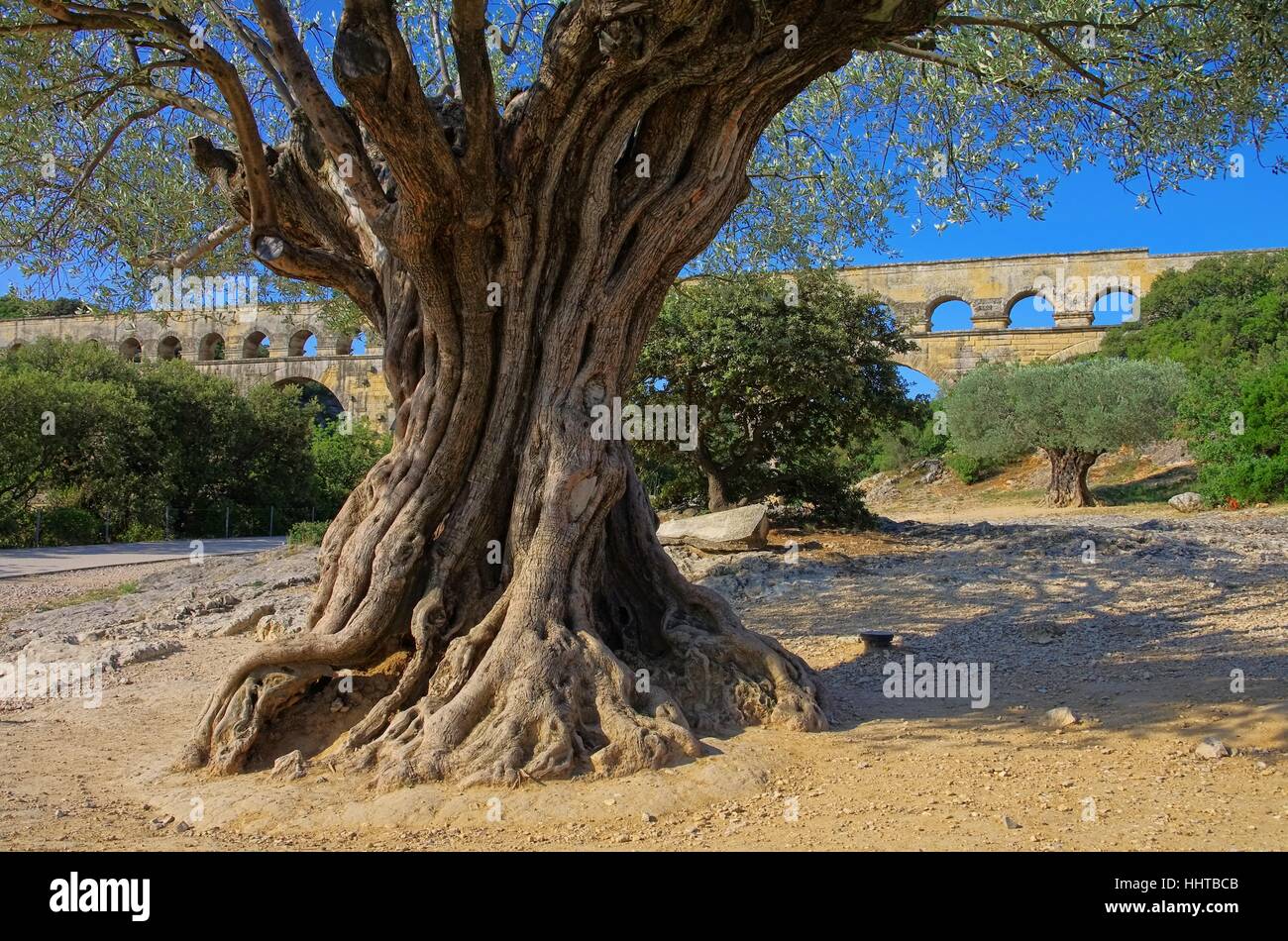 Olive bridge hi-res stock photography and images - Alamy