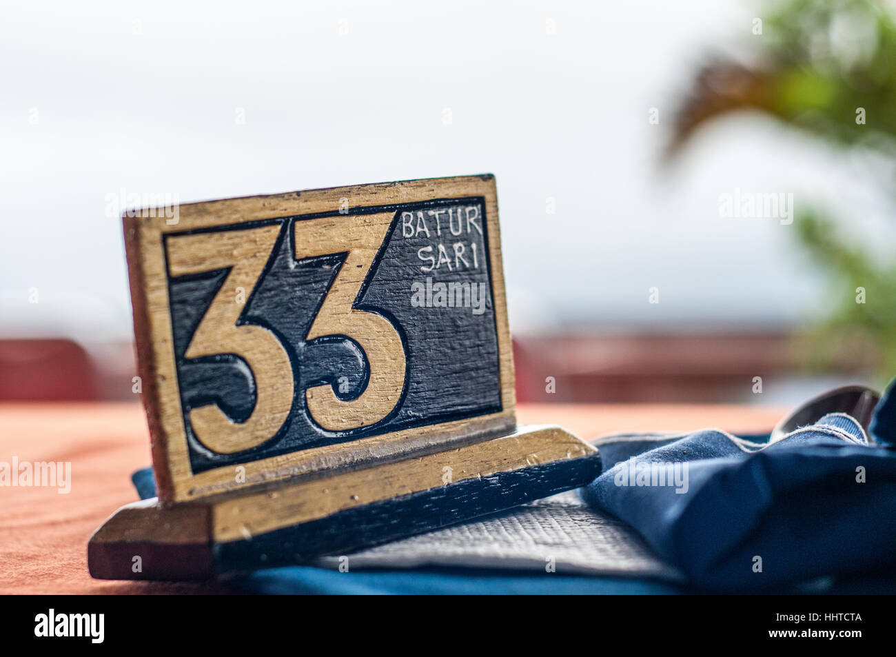 Large Print Number 33