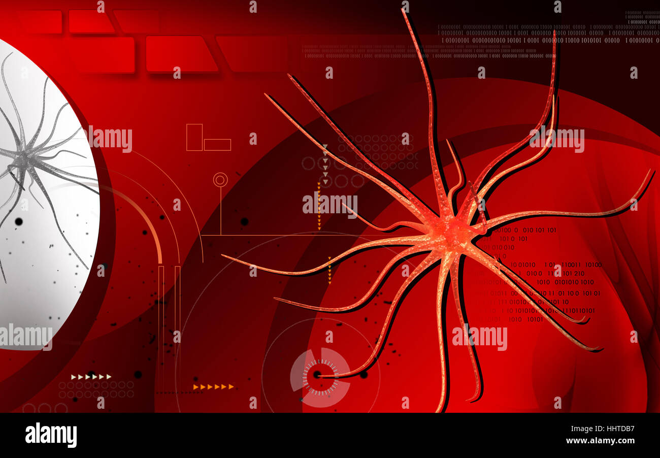 education, medicinally, medical, graphics, colour, science ...