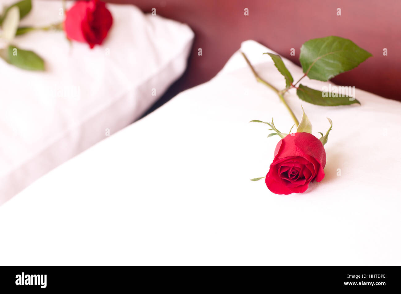 flower, rose, plant, bed, romantic, roses, romance, pillow, white, red ...