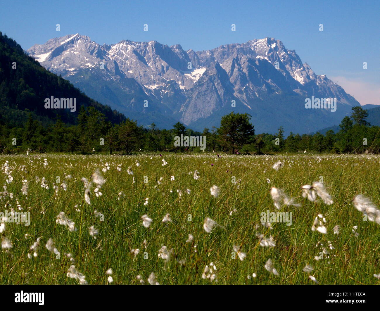 alps, bavaria, blue, tree, trees, mountains, holiday, vacation ...
