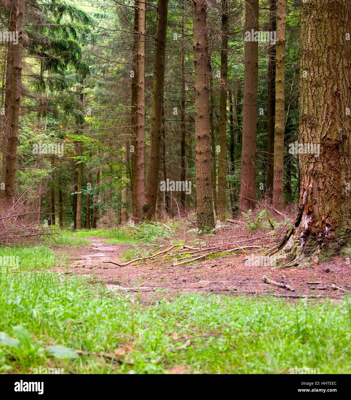 big, large, enormous, extreme, powerful, imposing, immense, relevant ...