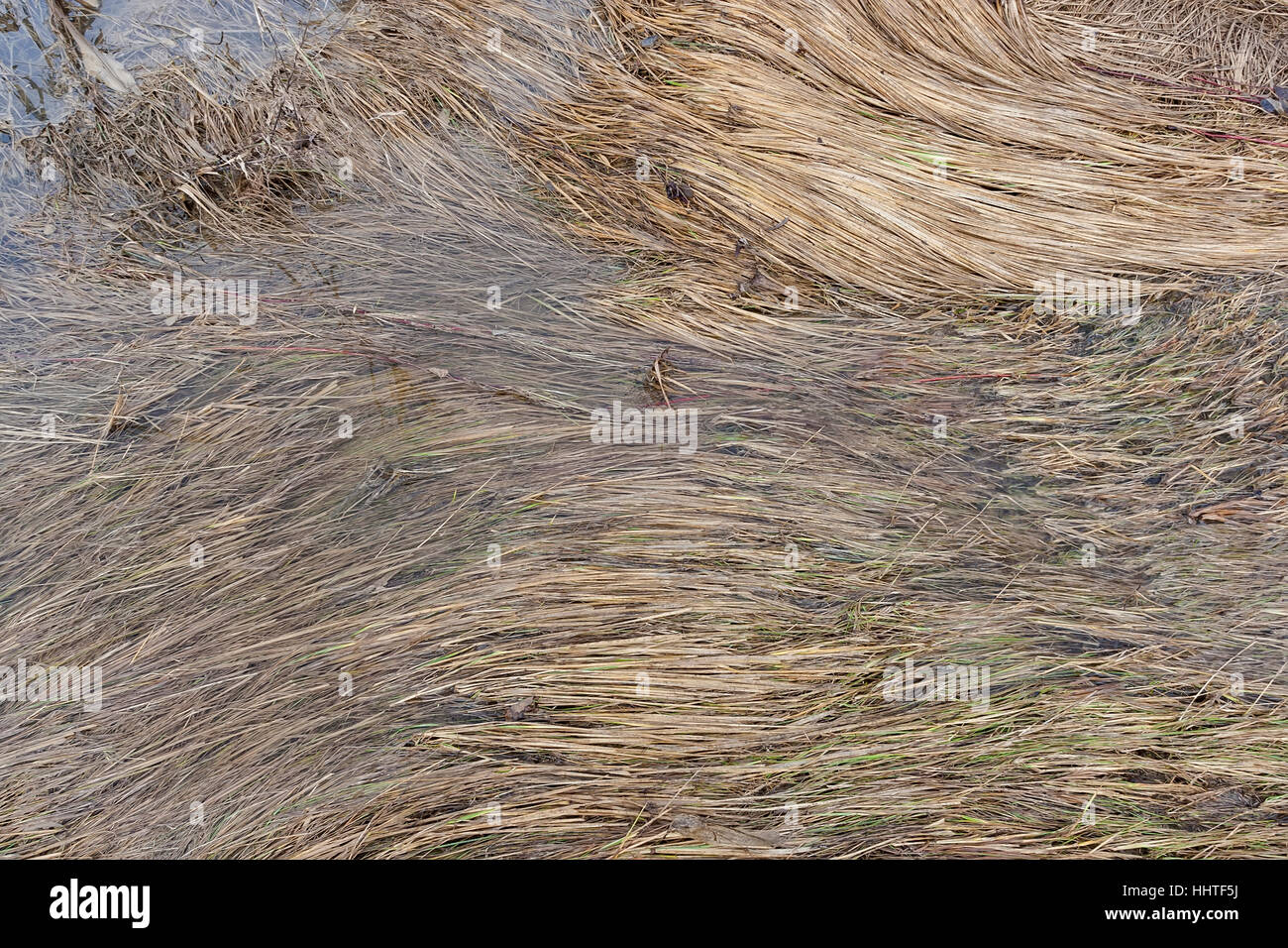 Polluted rivers and coastal areas as a result of mining and metallurgy ...