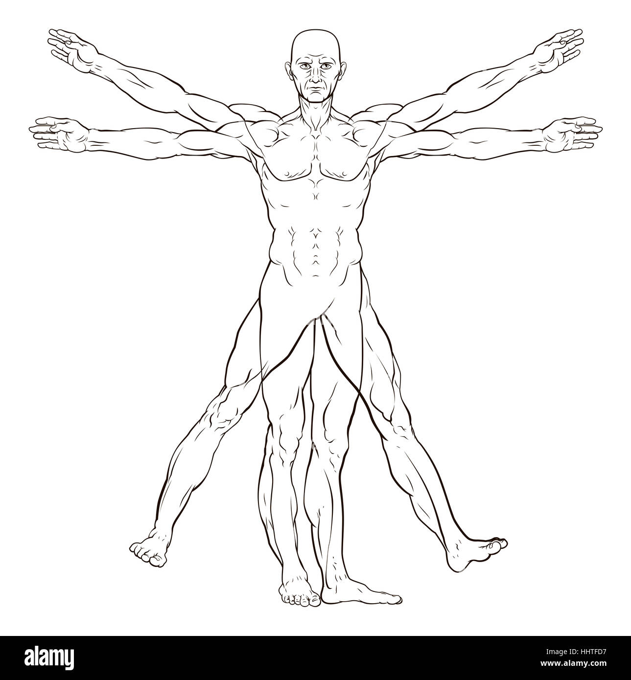 Vitruvian Man Outline