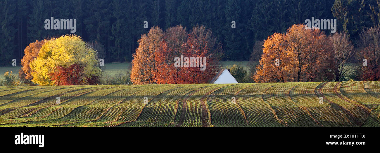 autumn morning light Stock Photo - Alamy