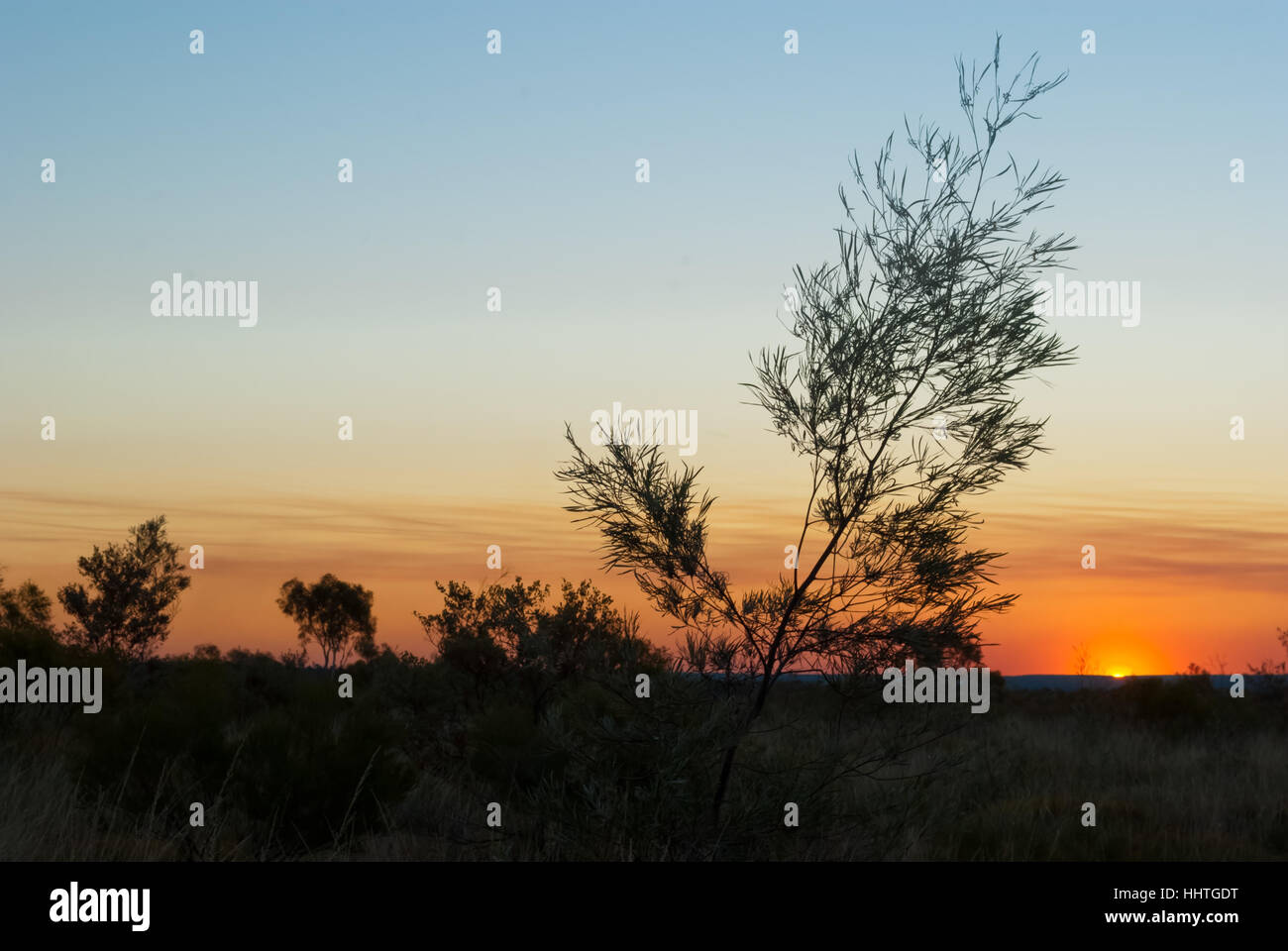 Tropical sunset, Australia Stock Photo - Alamy