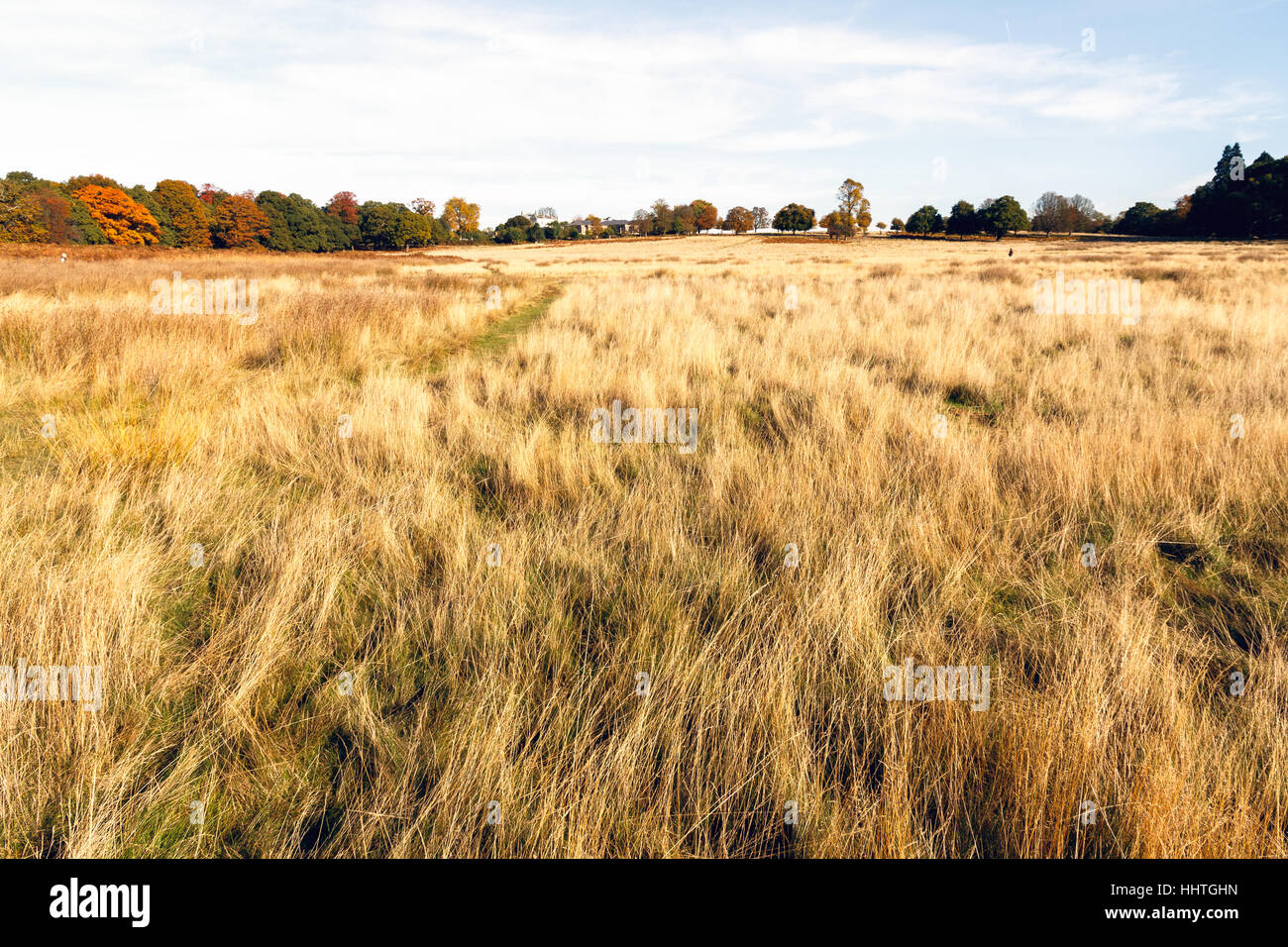Grassland hi-res stock photography and images - Alamy