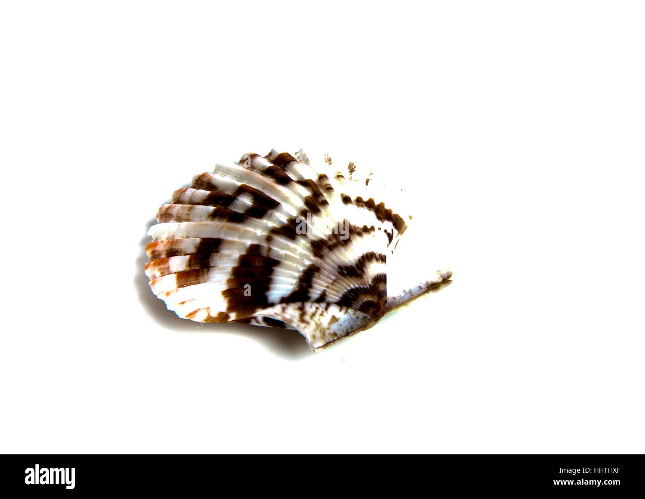 Formation of membrane Cut Out Stock Images & Pictures - Alamy