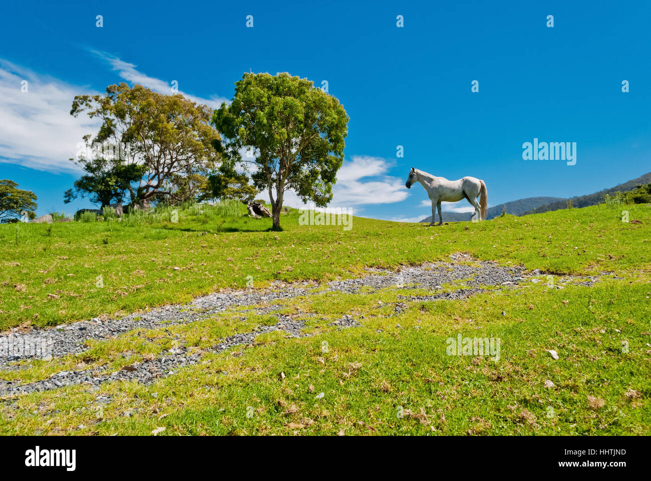 Horse landscape hi-res stock photography and images - Alamy