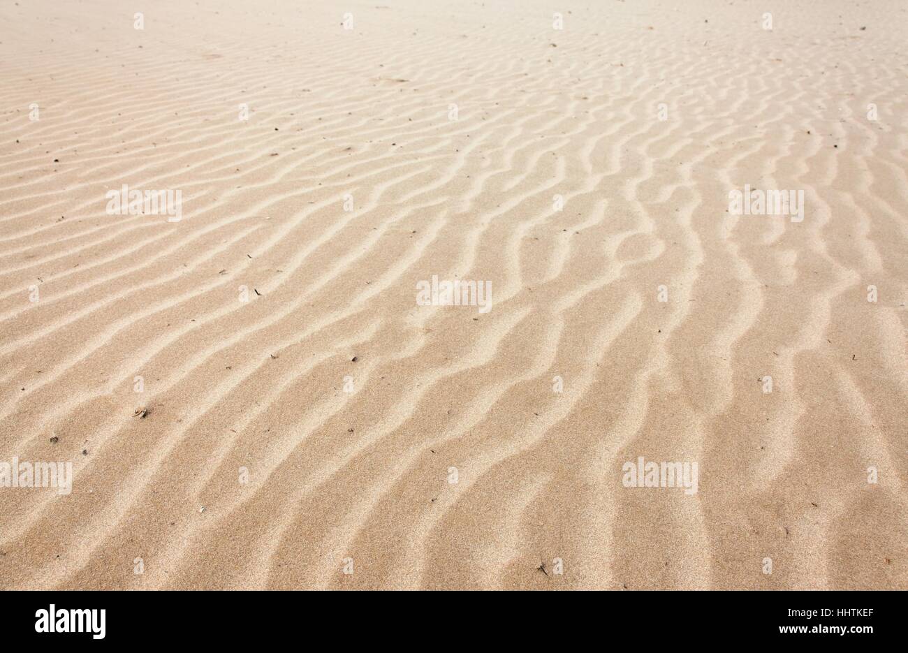 beach, seaside, the beach, seashore, soft, surface, dune, smooth, sandy ...
