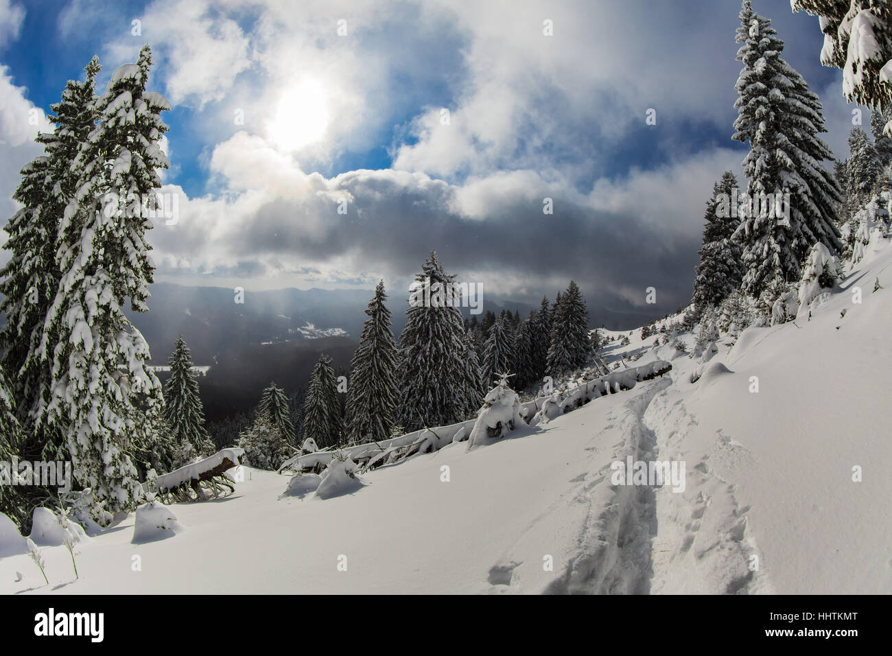 winter, snow, coke, cocaine, material, drug, anaesthetic, addictive ...