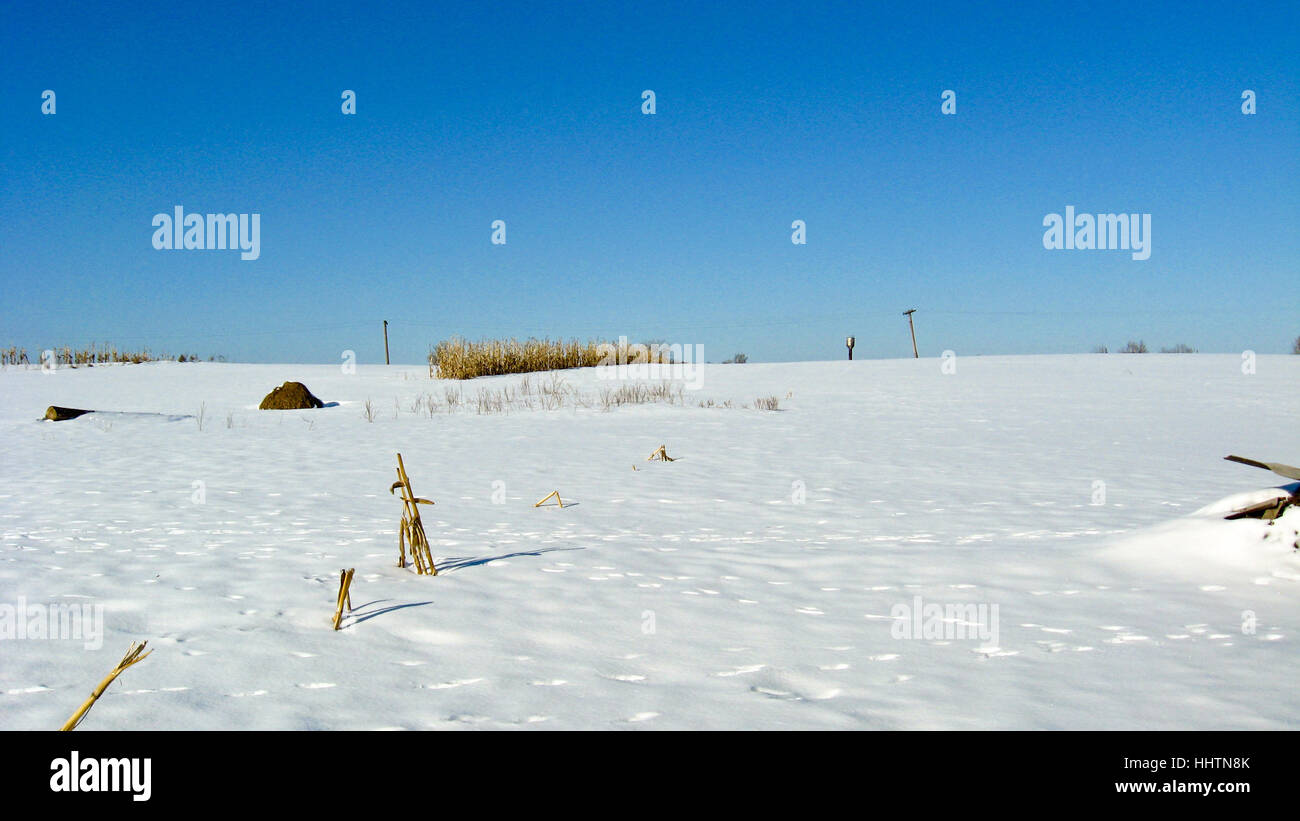 horizon, winter, frost, cold, catarrh, landscape, scenery, countryside ...