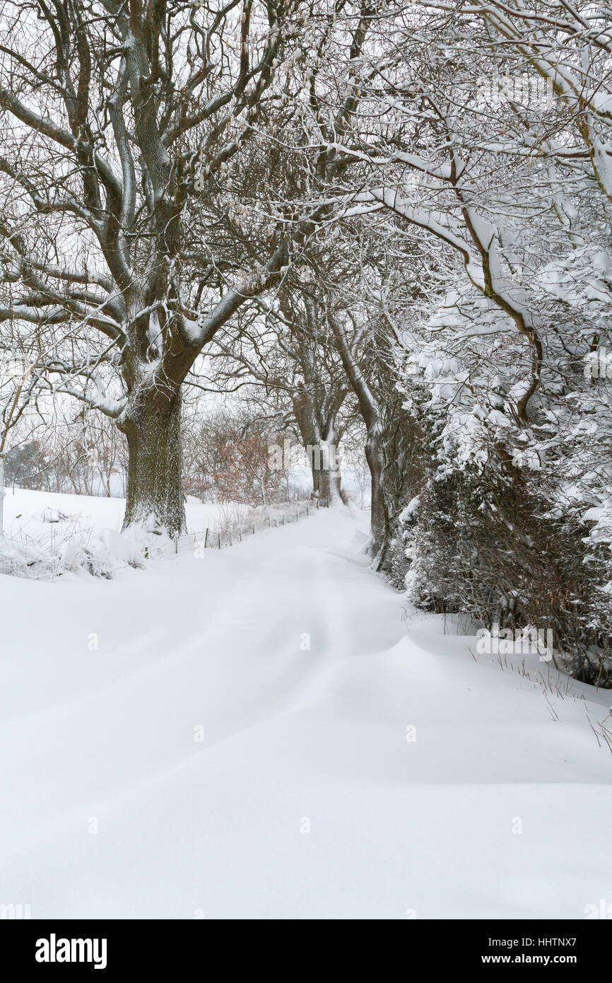 Snow filled country lane in the depths of a hard Winter in rural North ...