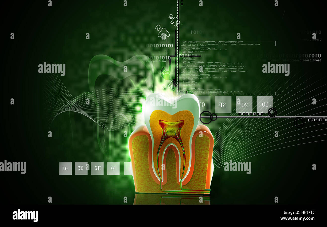 education, graphics, colour, closeup, science, teeth, illustration ...