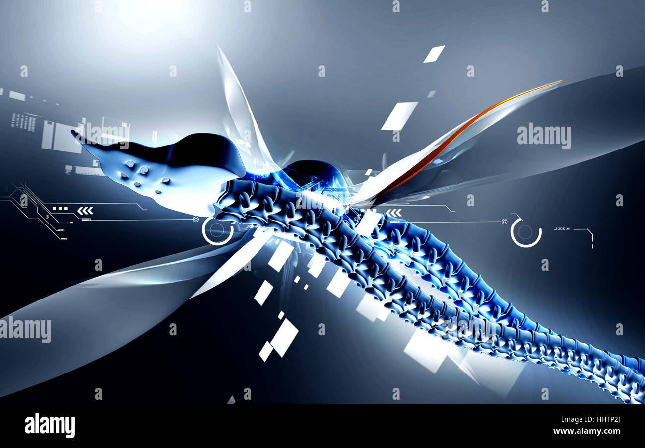 health, medicinally, medical, graphics, colour, illustration, stretch ...
